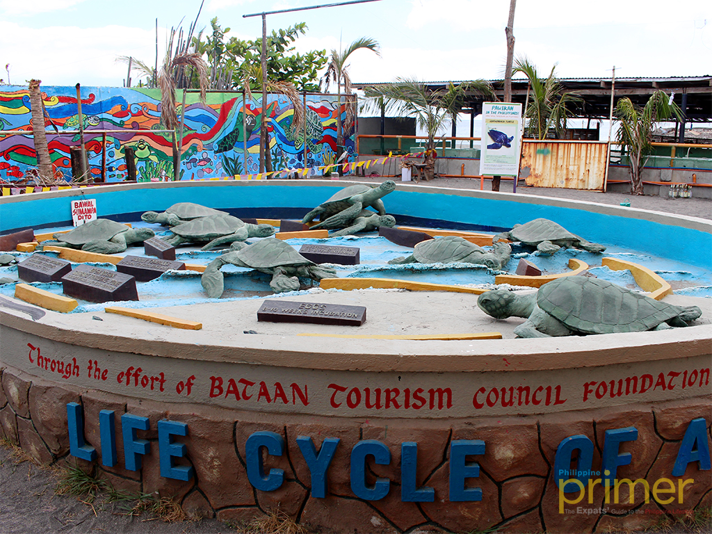 Pawikan Conservation Center in Bataan | Philippine Primer