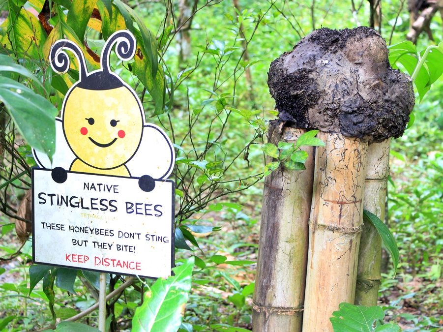 Ilog Maria Honeybee Farm in Tagaytay: Grounded in and Inspired by ...