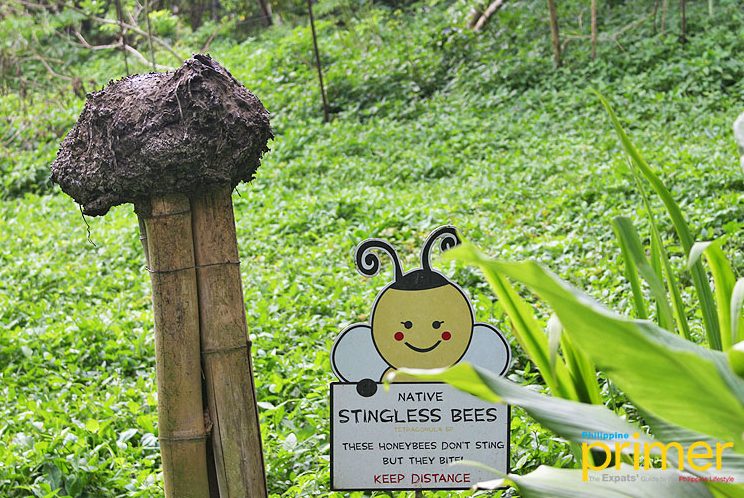 Ilog Maria Honeybee Farm in Silang Cavite: Of Native Bees and Natural ...