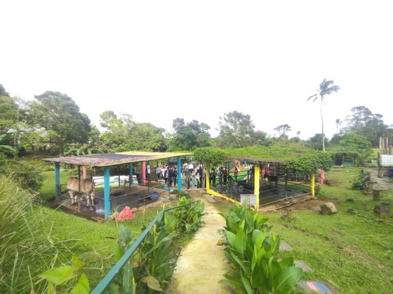 Paradizoo in Cavite: The First and Only Theme Farm in the City ...