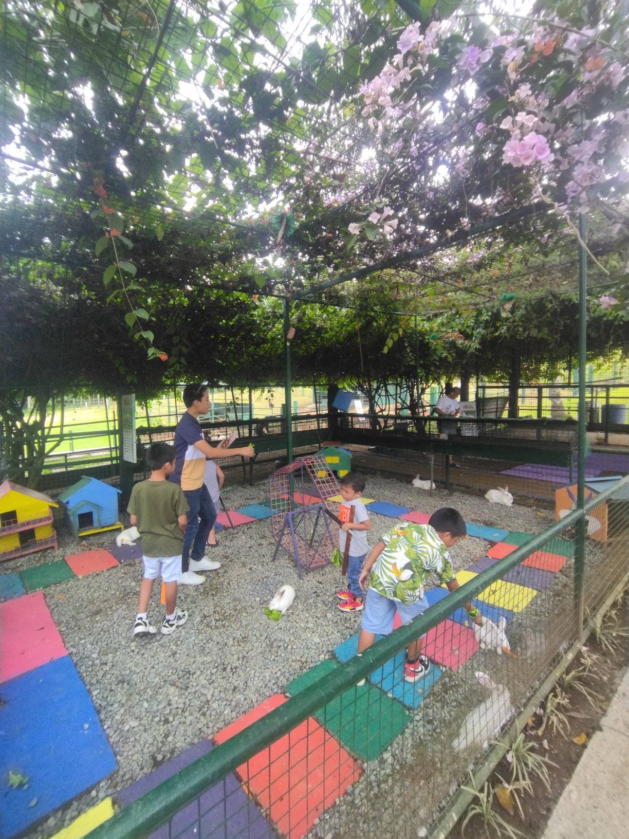 Paradizoo in Cavite: The First and Only Theme Farm in the City ...