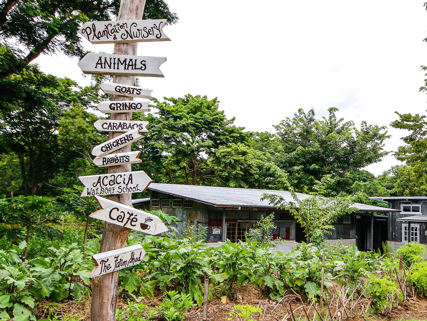 Holy Carabao Holistic Farm in Sta. Rosa, Laguna | Philippine Primer