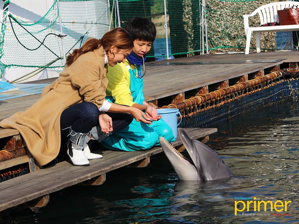 JAPAN TRAVEL: Sea Donut Aquarium in Amakusa | Philippine Primer