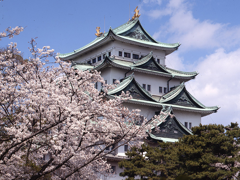JAPAN TRAVEL: A Walk-Through to Nagoya Castle and Hommaru Palace’s ...