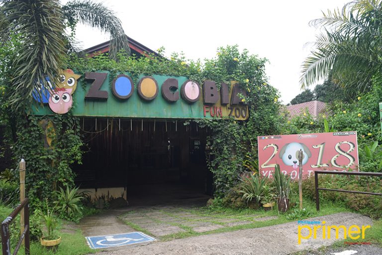 Zoocobia Fun Zoo in Clark, Pampanga Mixes Play and Adventure with ...