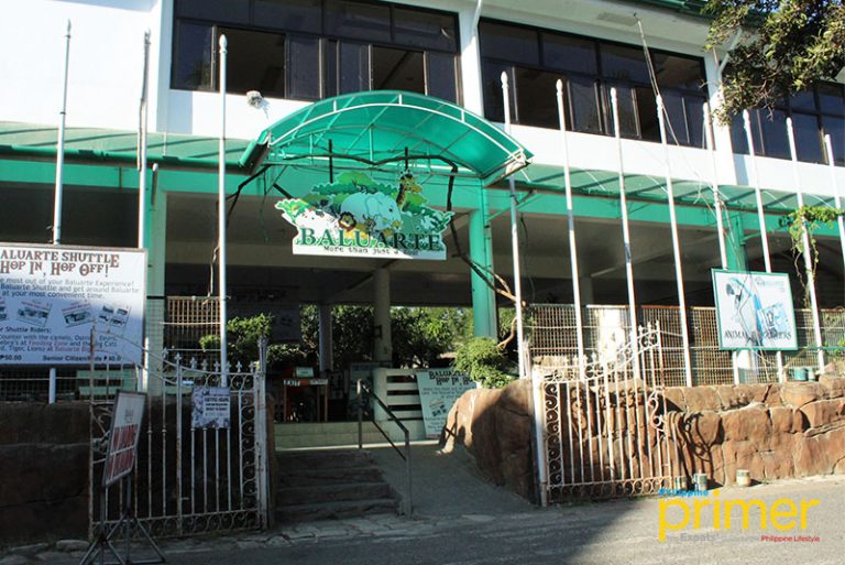 VIGAN TRAVEL: An Interactive Wildlife Adventure at Baluarte Resort and ...
