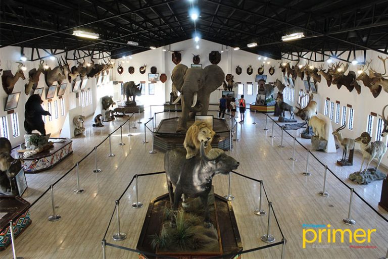 VIGAN TRAVEL: An Interactive Wildlife Adventure at Baluarte Resort and ...