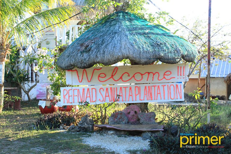 REFMAD Farms Highlights Dragonfruit Benefits from Hopia to Bath Soaps ...