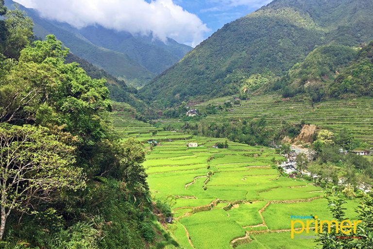 Hungduan Rice Terraces Cluster in Ifugao Echoes a Solemn Persona with ...