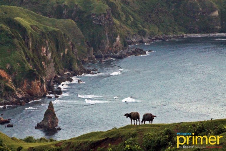 South Batan Island, Batanes: A Rustic Harbor of Pasturelands and ...