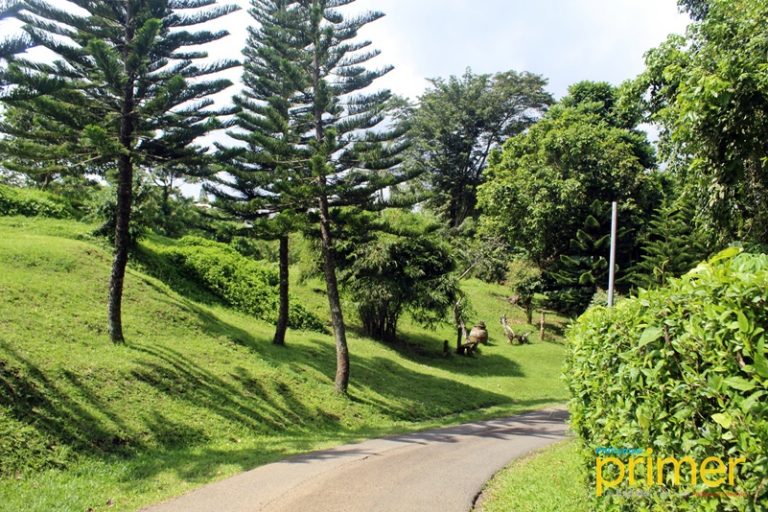 Gourmet Farms in Silang Cavite: A Destination for Coffee and Nature ...