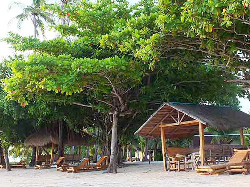 Dos Palmas Island Resort and Spa: The Secluded Sanctuary in Puerto ...