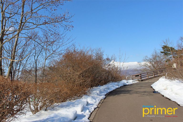 Onuma Quasi-National Park in Hokkaido: Experience The Thrill of ...