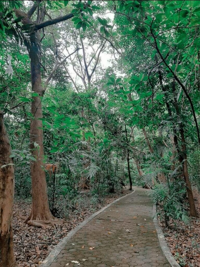 GUIDE: 11 must-visit tourist spots and historical sites in Manila ...